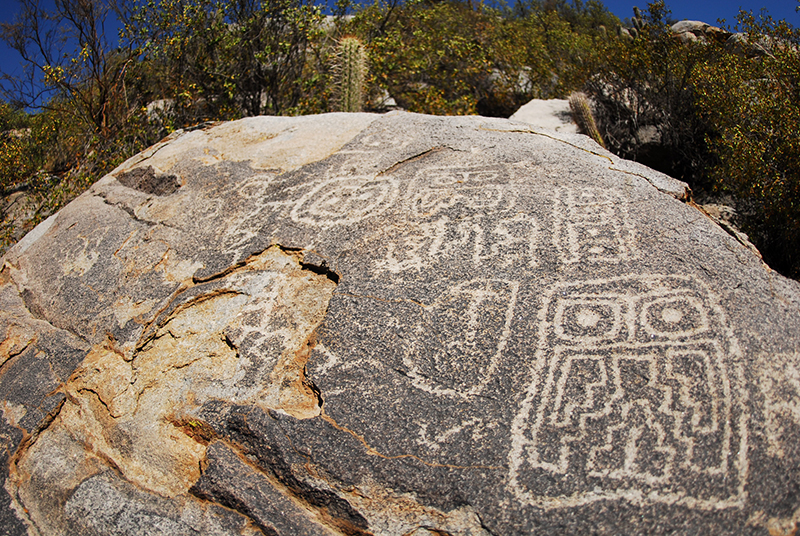 Arte rupestre. Petroglifos en el valle de Chalinga | Museo de Historia ...