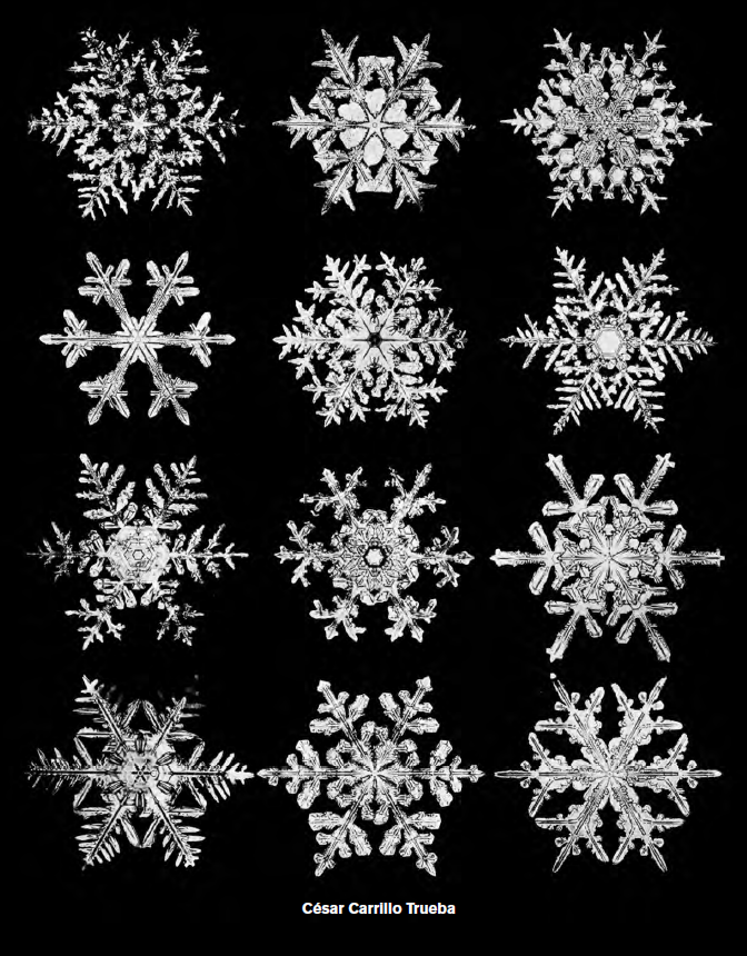 Ciencia para pasar el invierno: ¿Sabías por qué los copos de nieve son ...