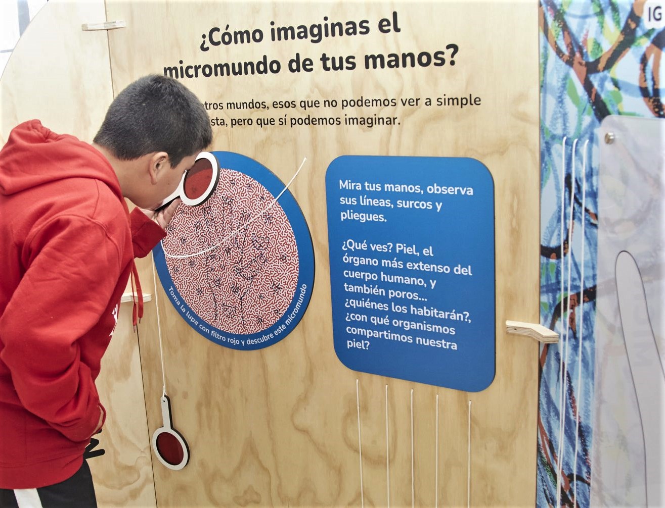 Exposición “Micromundos, ciencia y arte en tus manos” | Museo de Historia Natural de Valparaíso