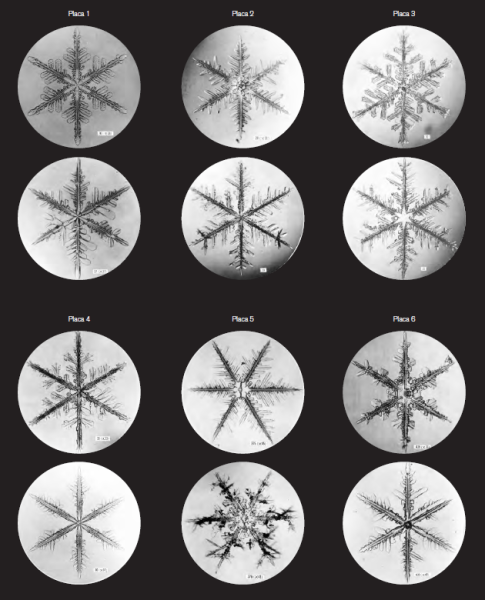 Ciencia para pasar el invierno: ¿Sabías por qué los copos de nieve son ...
